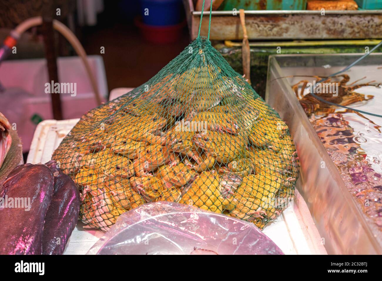 Big Bag of Live Frogs at Farmers Market Stock Photo - Alamy