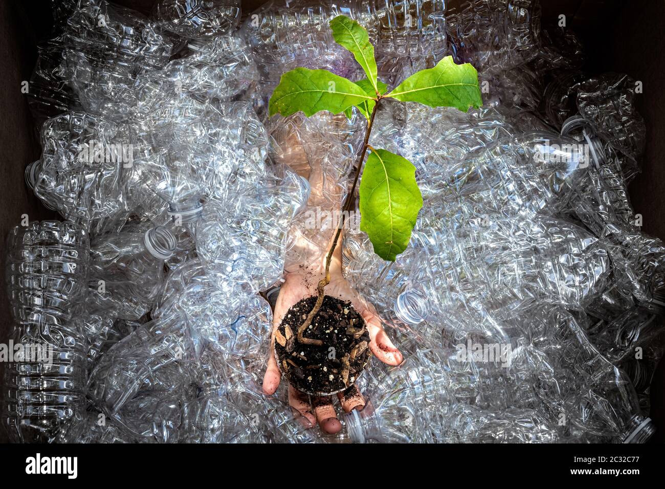 Plant a tree and avoid plastic trash. Concept of environmental ...