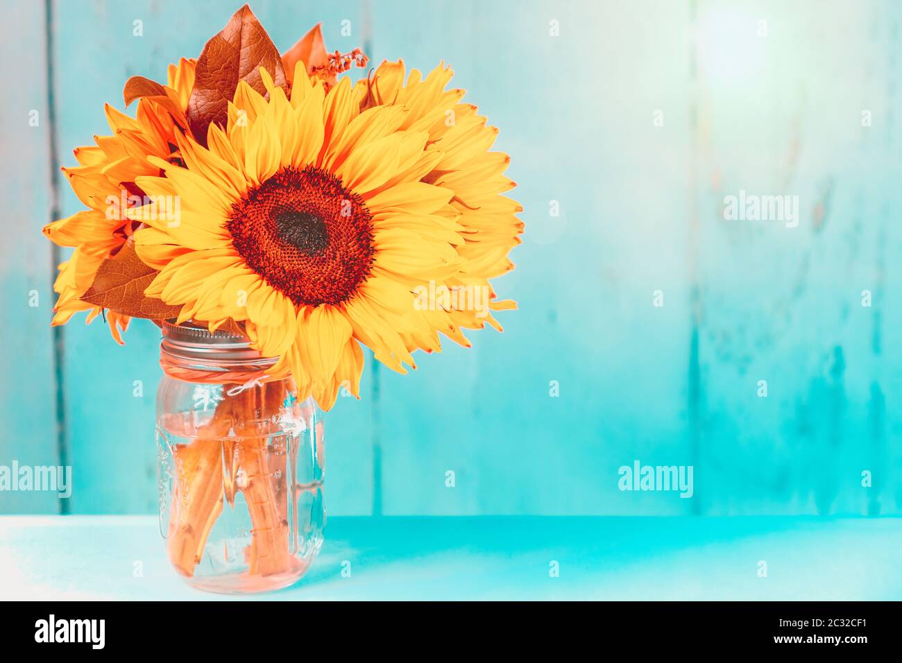 Turquoise vase hi-res stock photography and images - Alamy