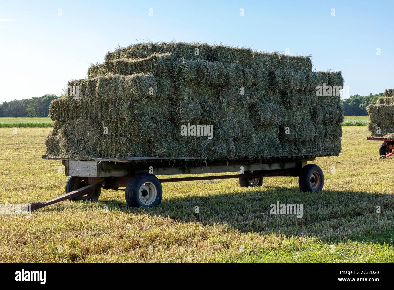 Cattle wagon hi-res stock photography and images - Alamy