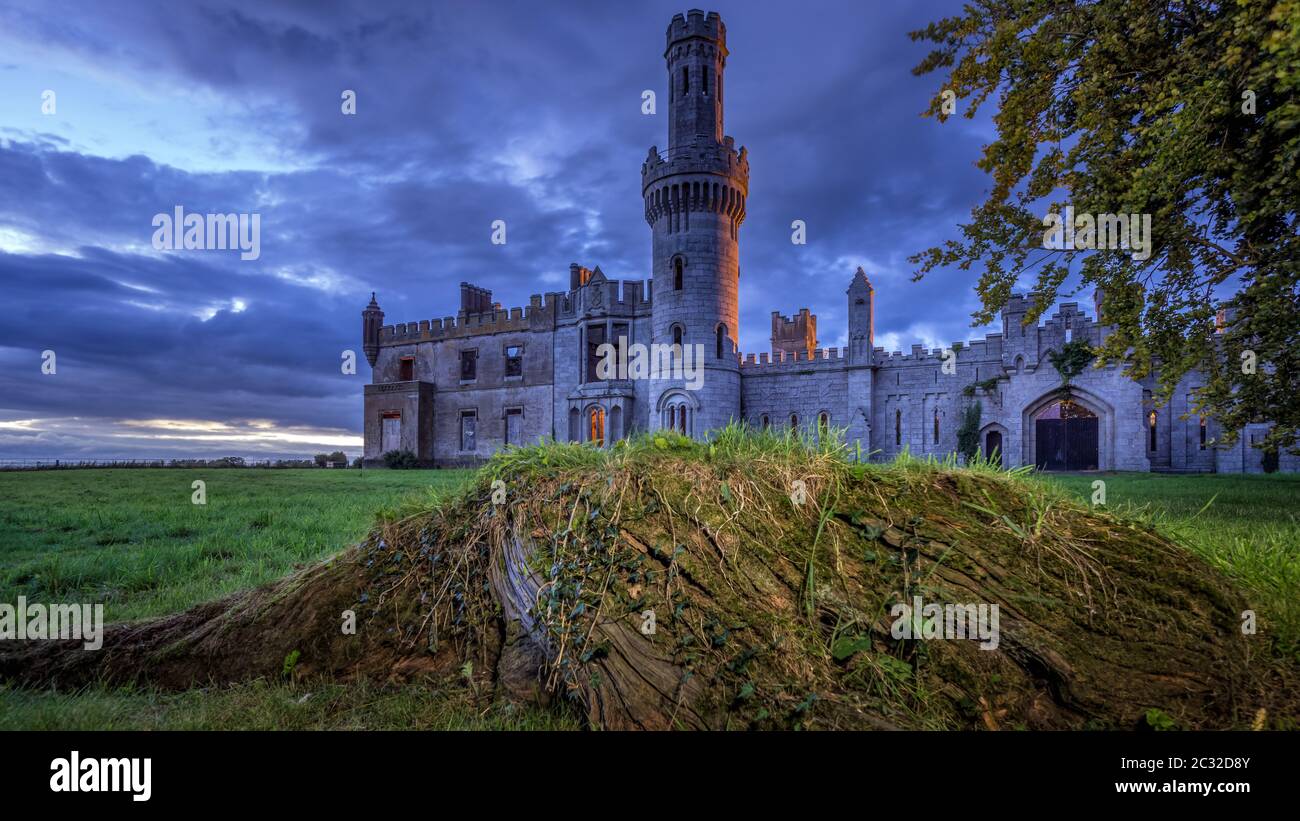 Old ruined Duckett Grove castle with tree roots and stormy sky Stock ...