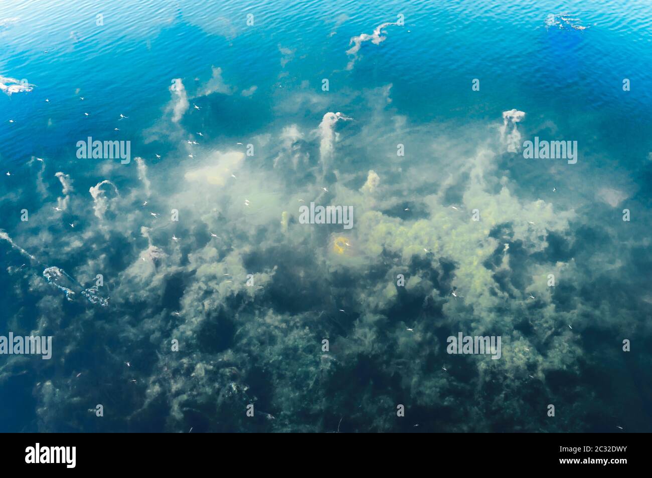 Ocean Floor Texture Clear Water. Underwater Background With Sandy Sea
