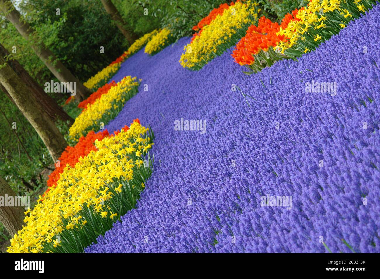 Spring flower bed Stock Photo - Alamy