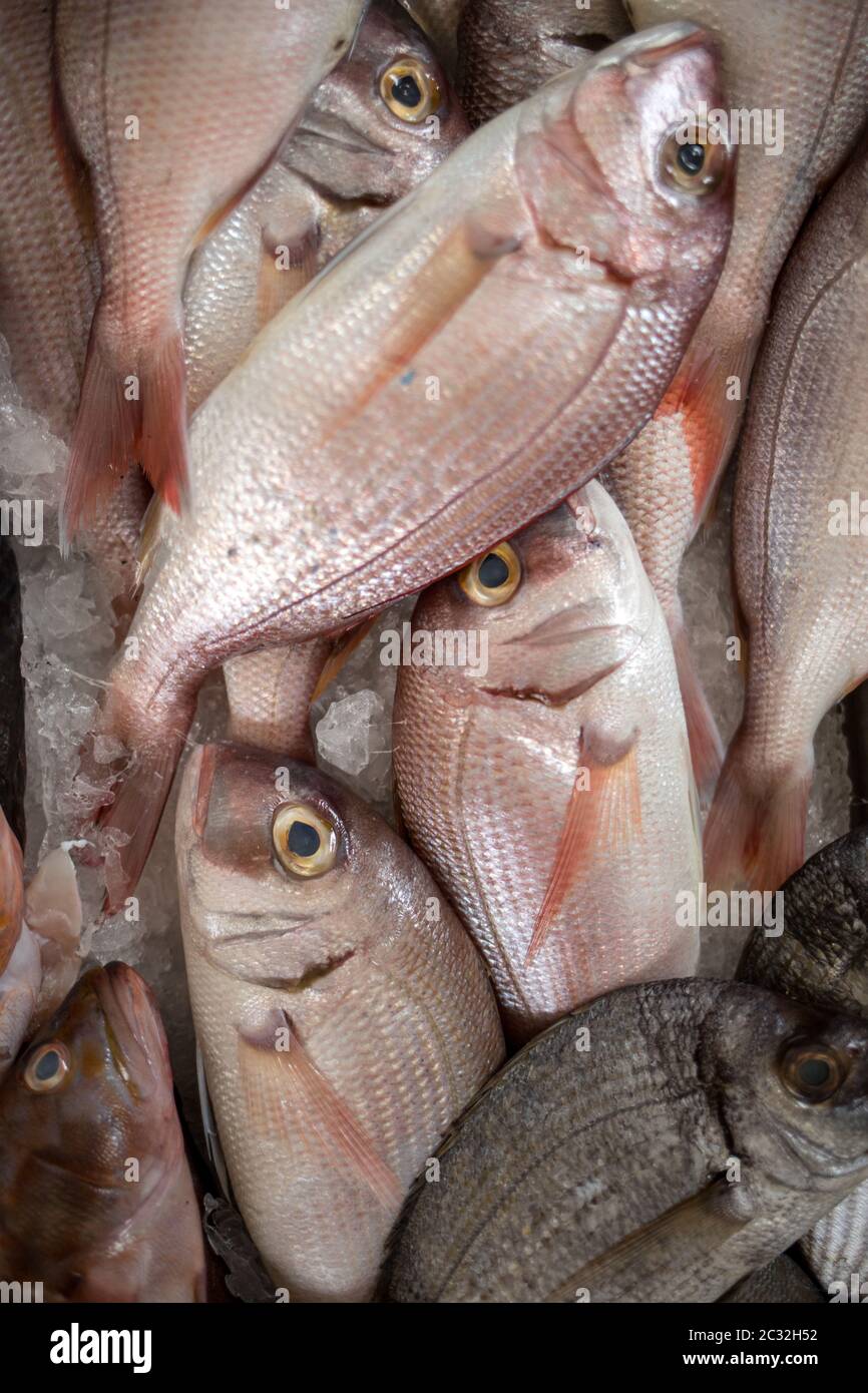 Fresh fish for sale at a fish market Stock Photo - Alamy