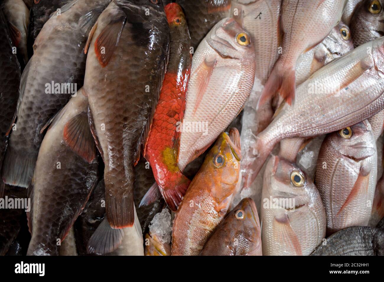 Fresh fish for sale at a fish market Stock Photo - Alamy