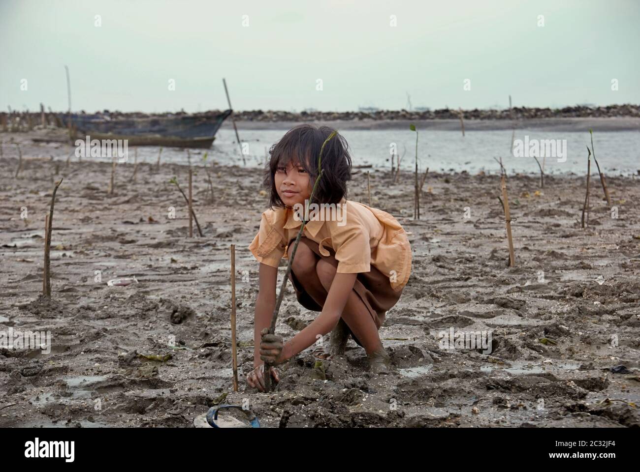 A child is planting a mangrove tree in Jakarta coastal area during a ...