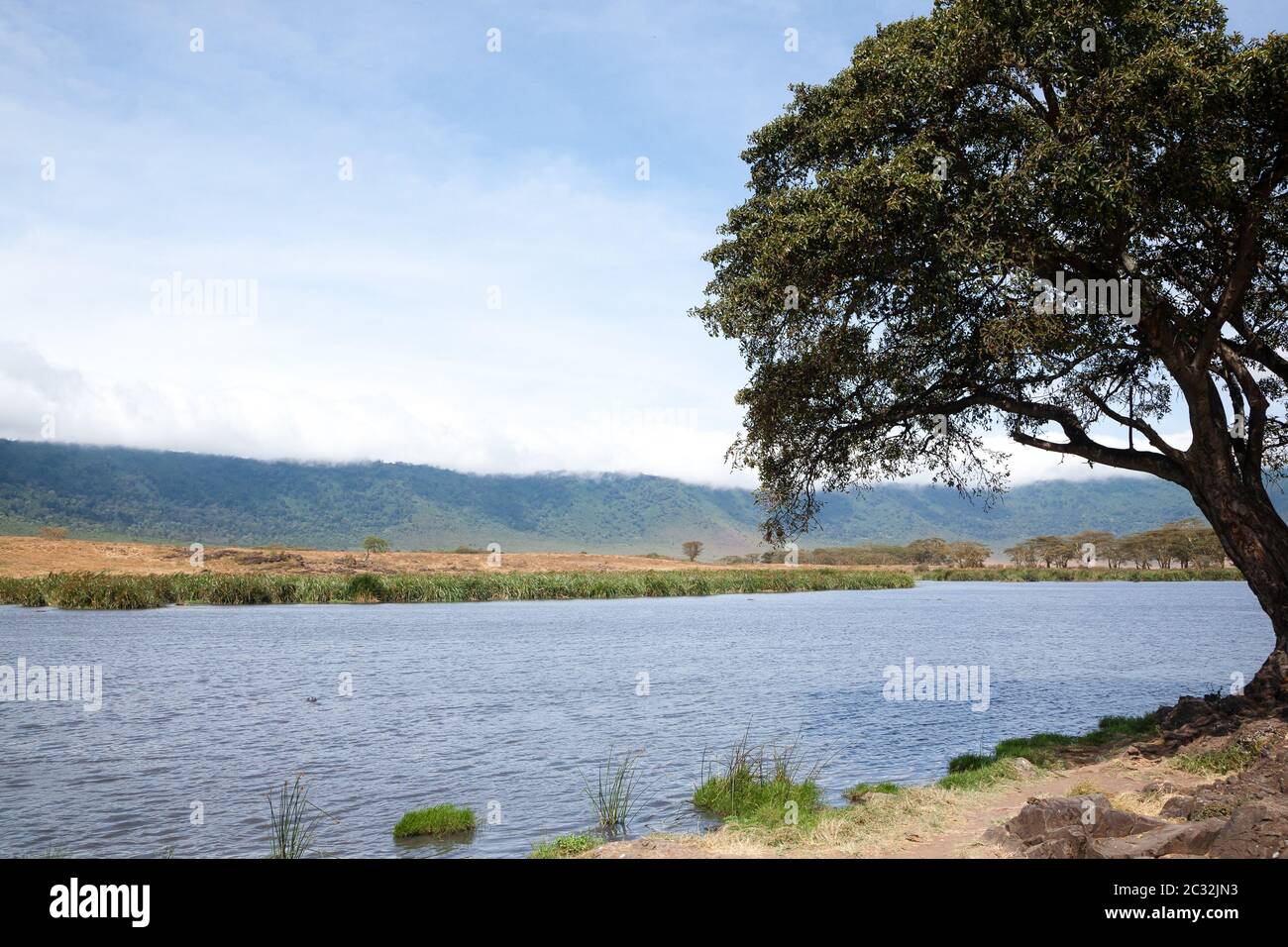 Ngorongoro crater beautiful landscape, Tanzania, Africa. Ngorongoro ...
