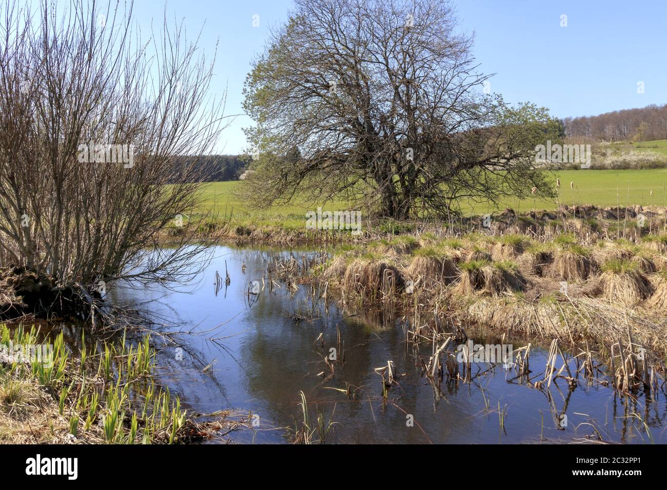 Bog pond hi-res stock photography and images - Alamy