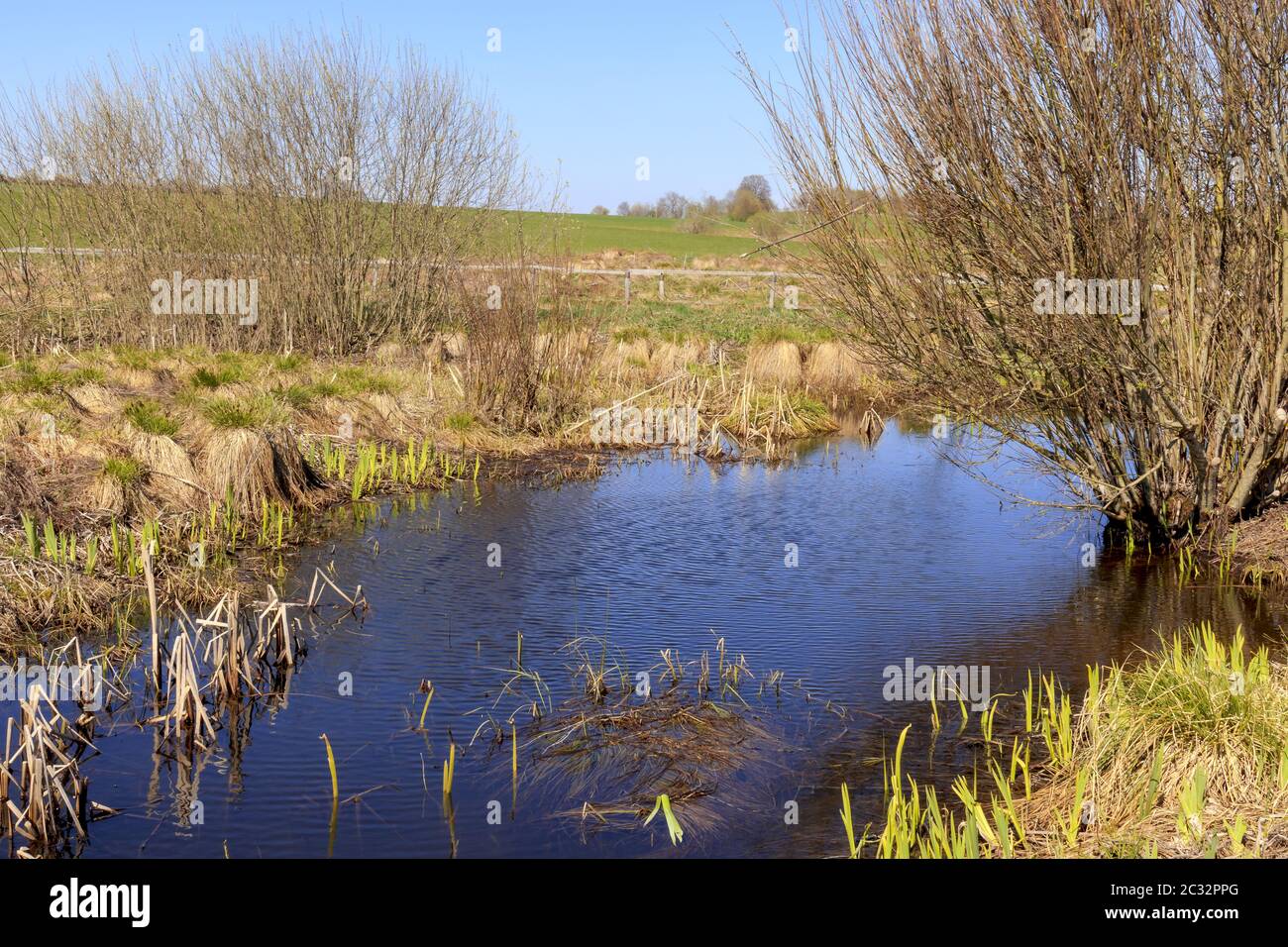 Bog pond hi-res stock photography and images - Alamy