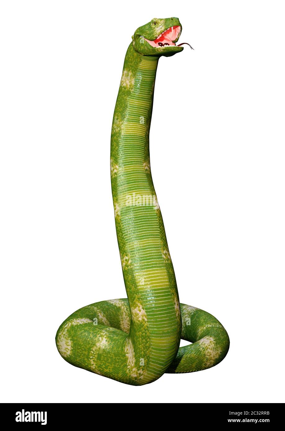 3D rendering of a green viper snake isolated on white background Stock ...