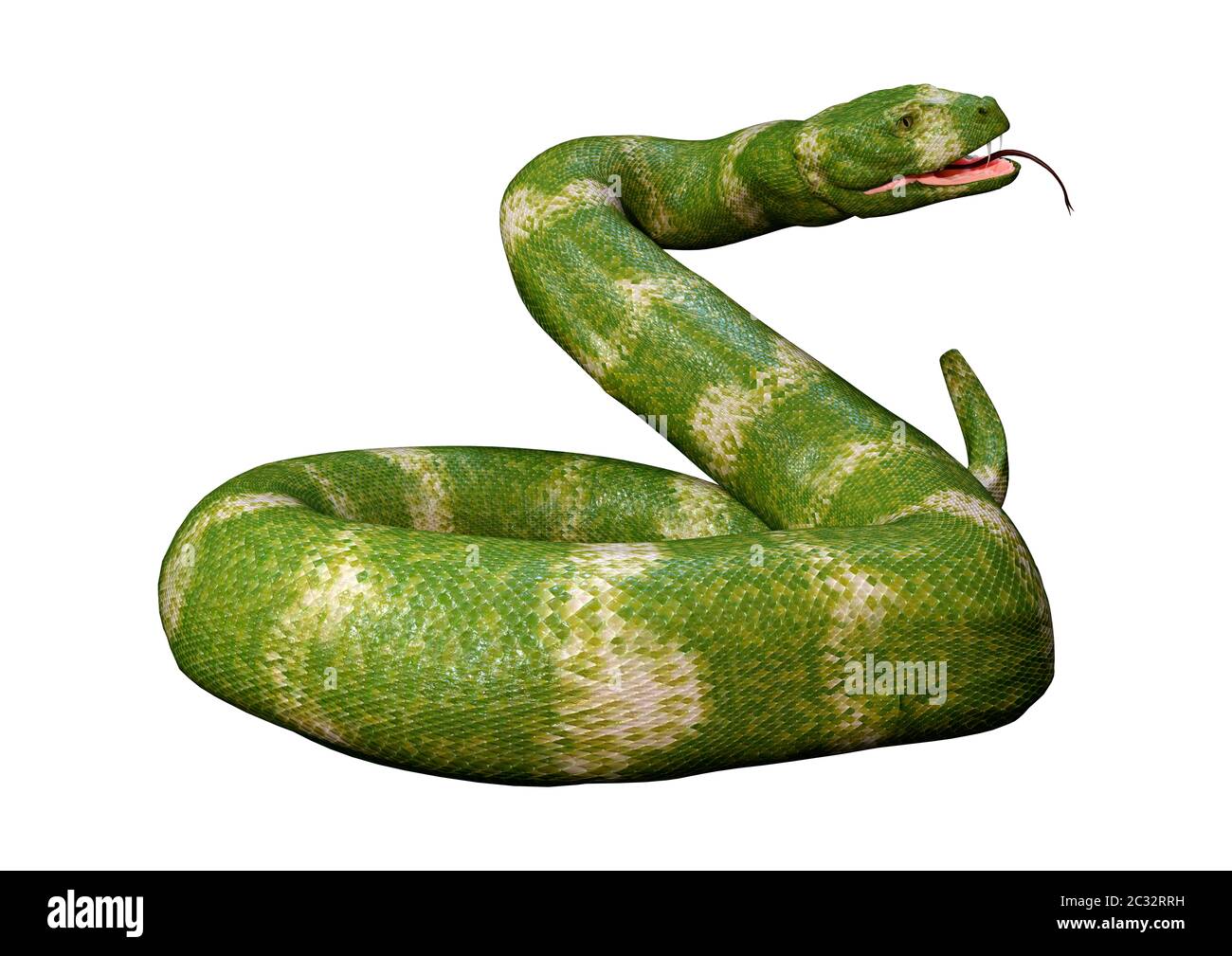 3D rendering of a green viper snake isolated on white background Stock ...