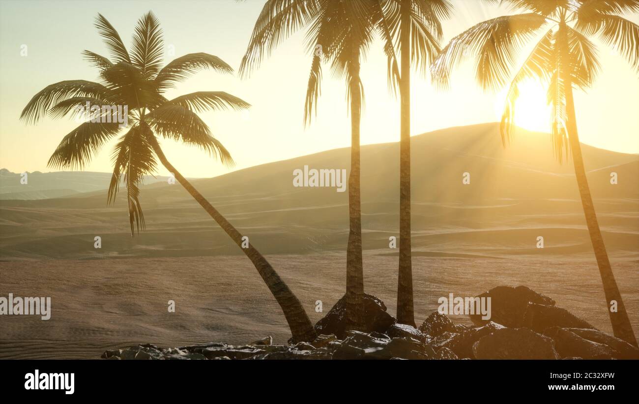Dunes sunset in desert libya hi-res stock photography and images - Alamy
