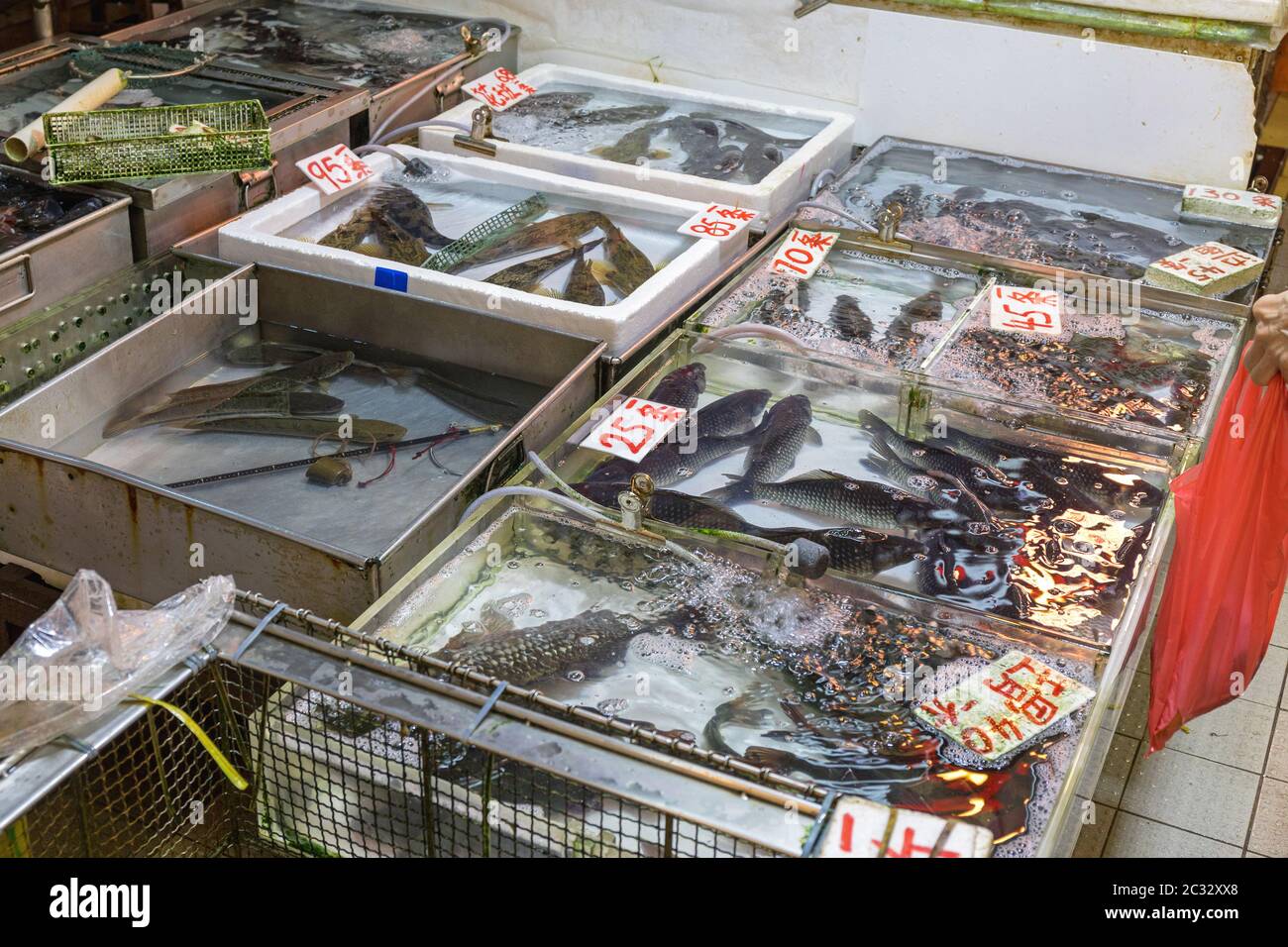 Live Fish in Tanks at Maket Stall Stock Photo - Alamy