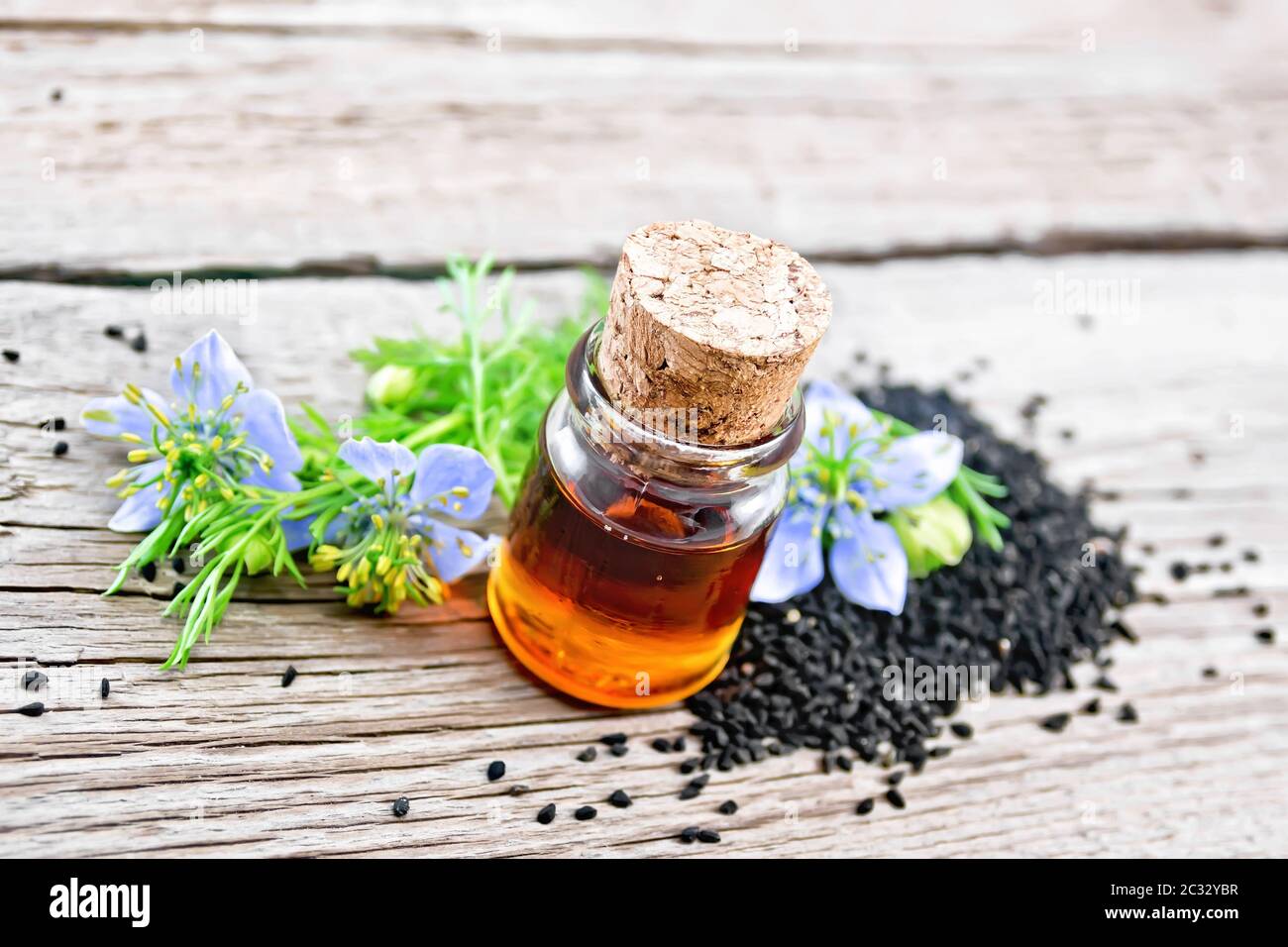 Nigellone hi-res stock photography and images - Alamy