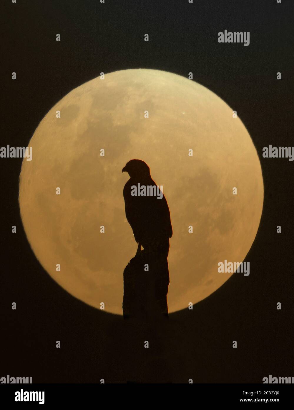 Strawberry super moon hi-res stock photography and images - Alamy