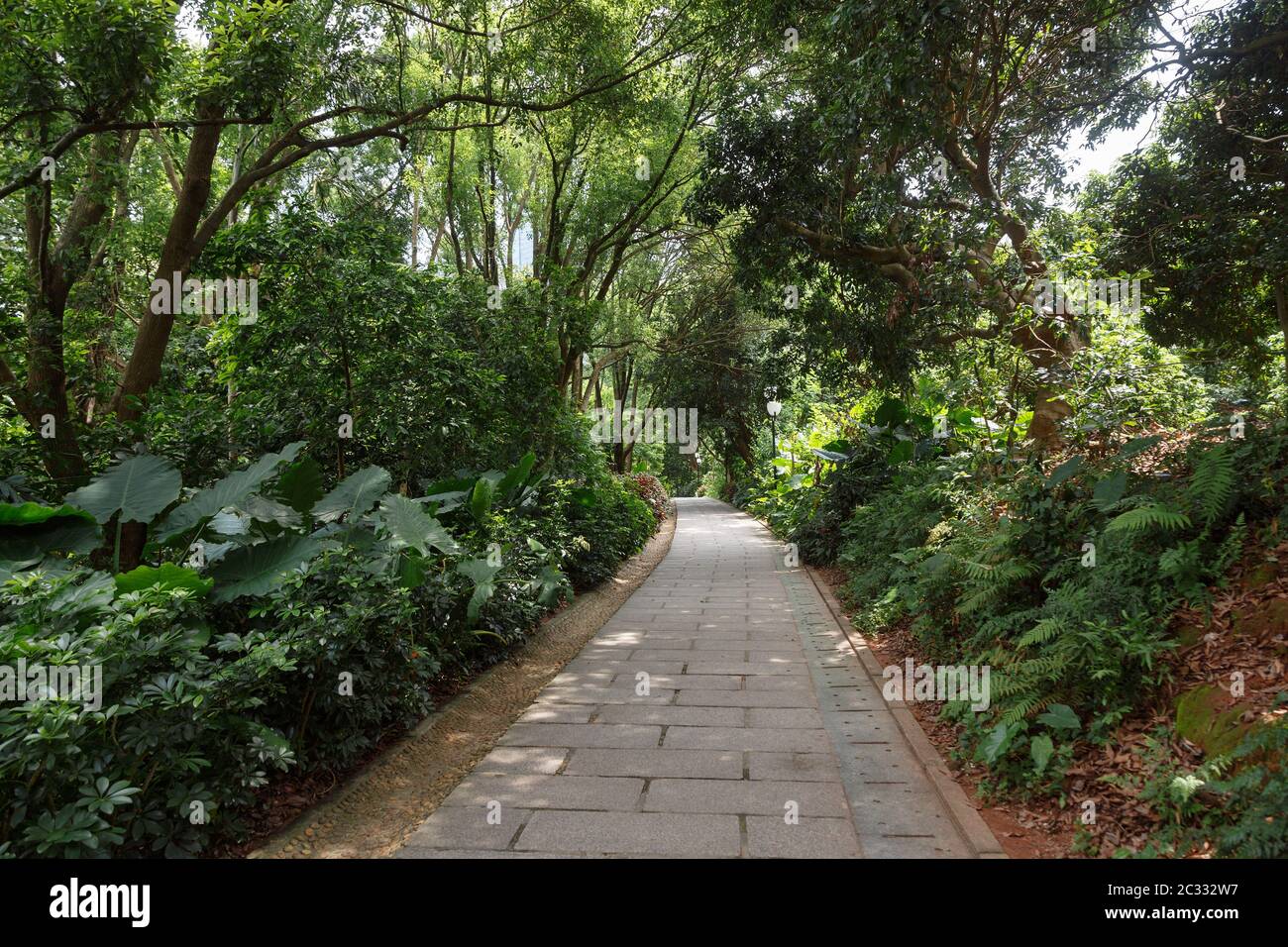 Concrete alley in the park for pedestrians in the city with green ...