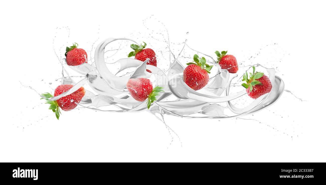 milk wave splashing with strawberries, isolated on white background ...