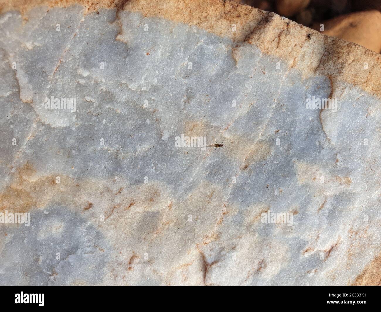 Solid aggregate hi-res stock photography and images - Alamy