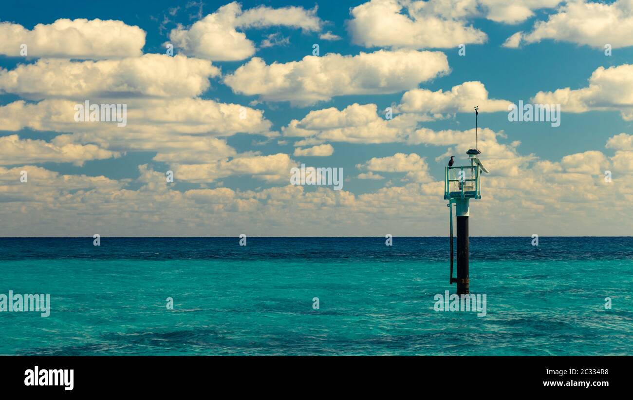 Birds sitting on a marker just off Key Largo Stock Photo - Alamy