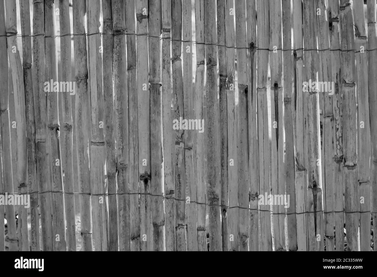 Detail of a privacy screen made of pipe, straw or bamboo, texture Stock ...