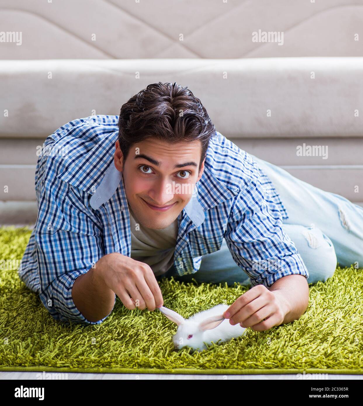 Young man playing with pet rabbit at home Stock Photo - Alamy