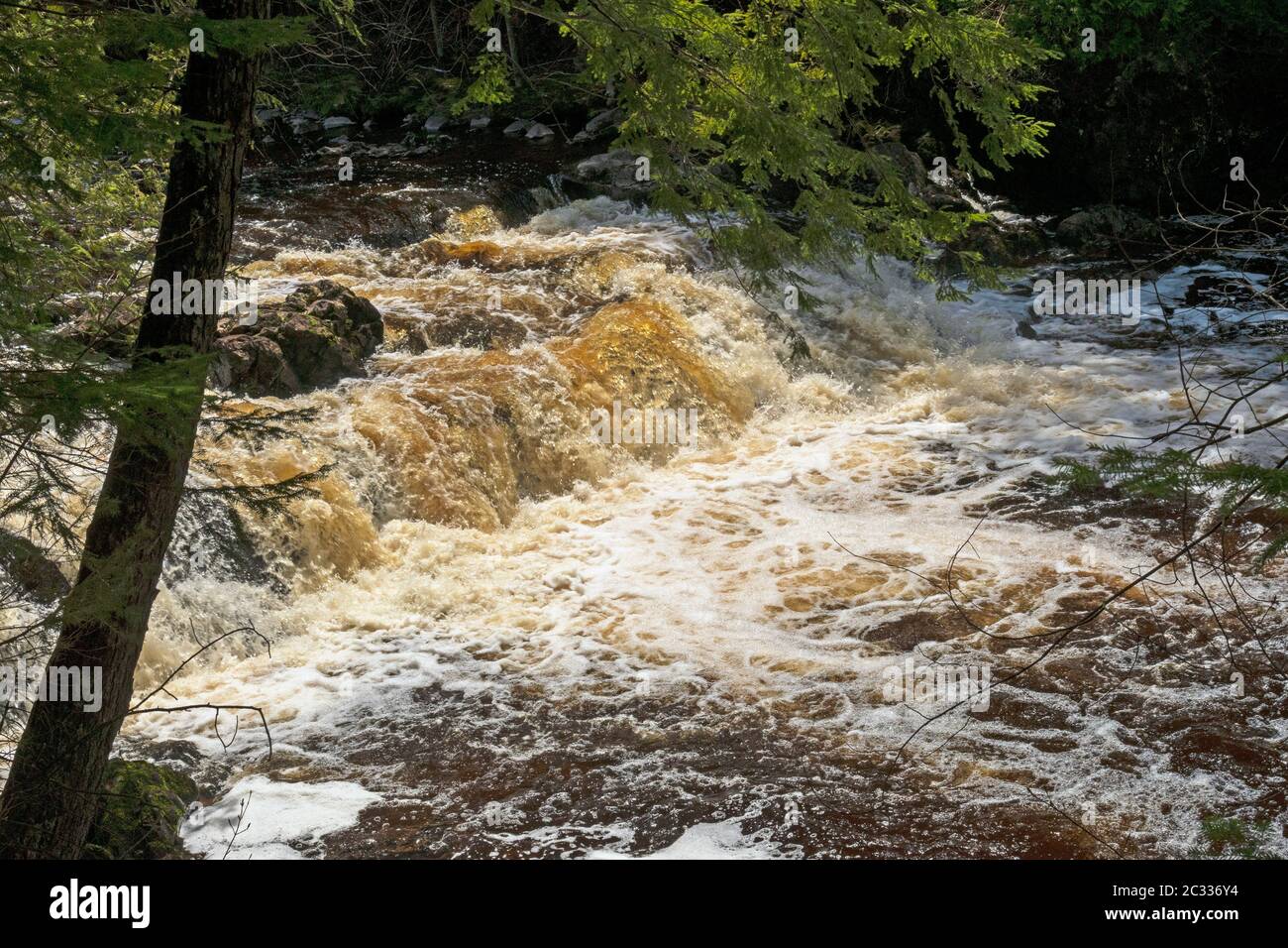Spring Flood Waters Raging Through a Forest Stream in Copper Falls ...
