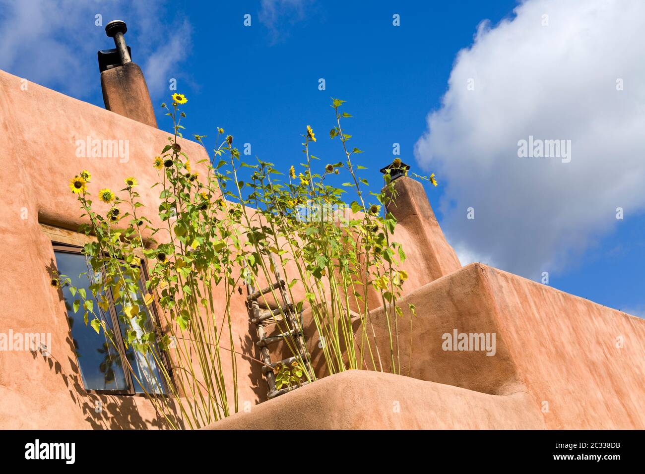 The Pink Adobe Restaurant,Santa Fe, New Mexico,USA Stock Photo - Alamy