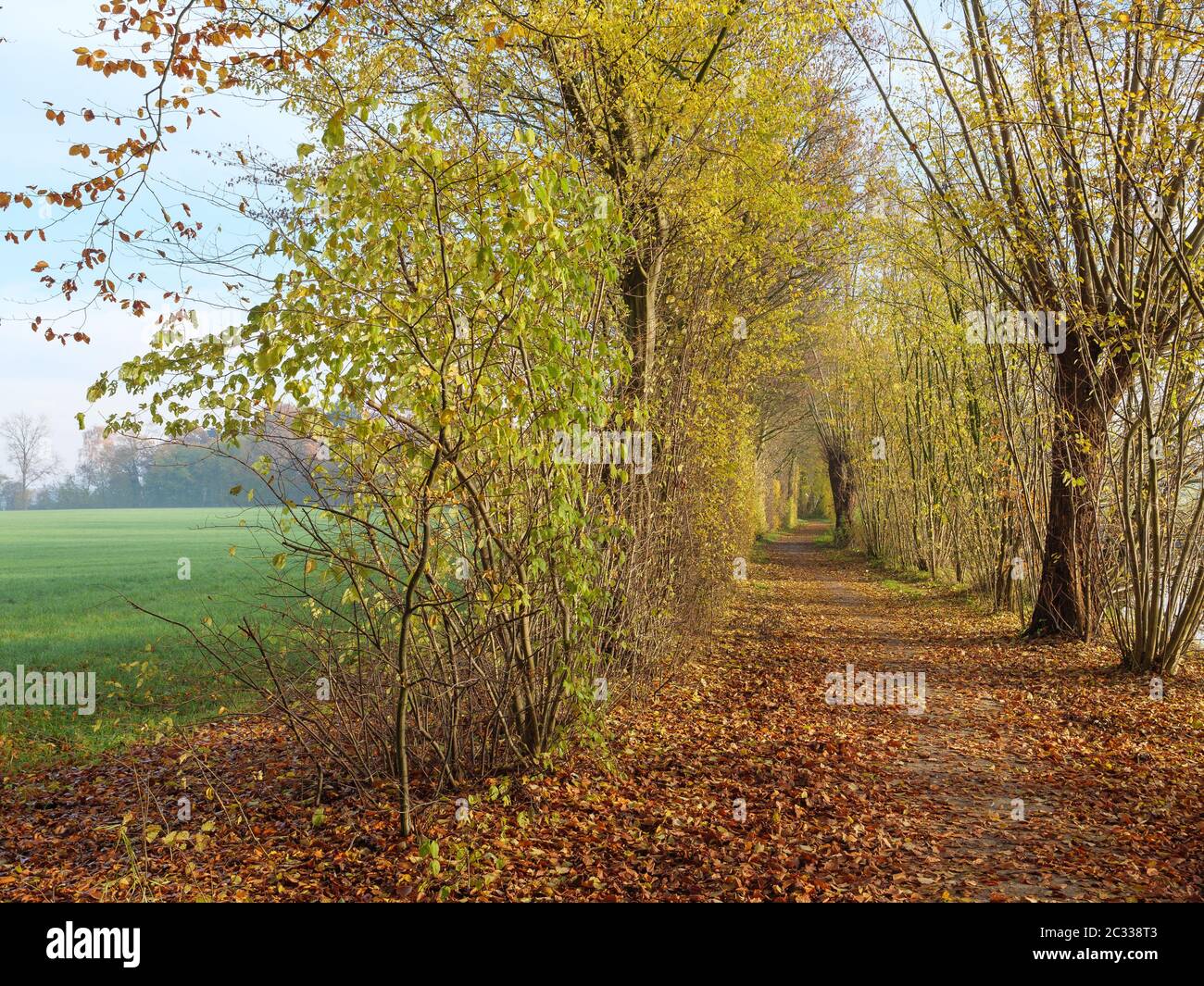 Autumn at a river in germany Stock Photo - Alamy