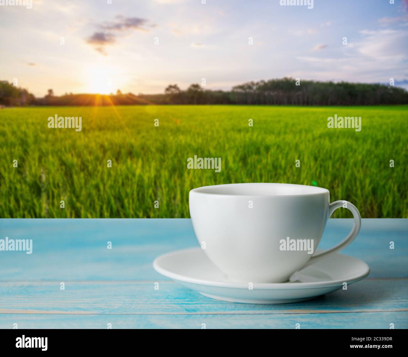 A cup of coffee with rice field rural with colorful of sky in morning ...