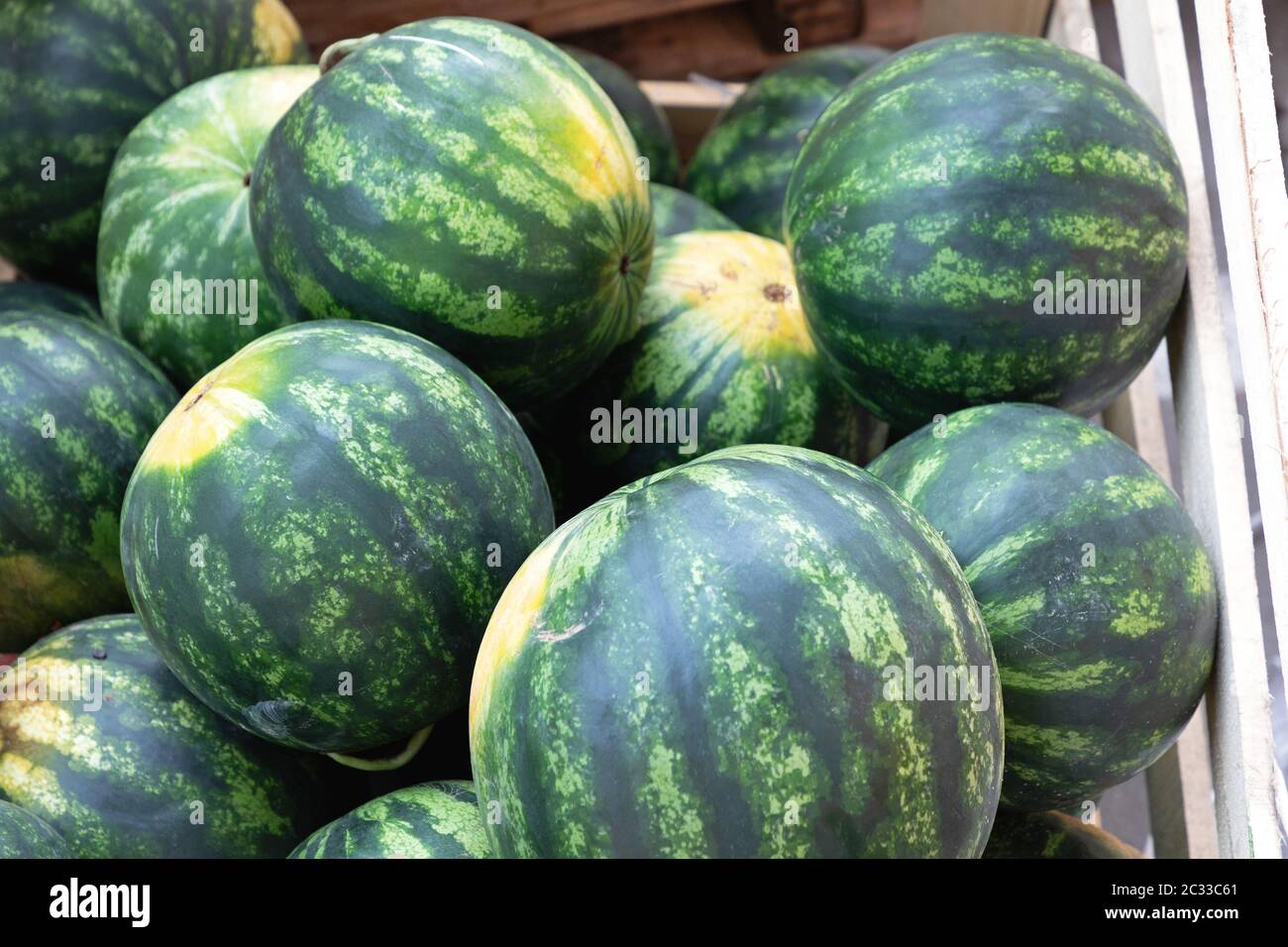 Watermelons watermelon crates crate hi-res stock photography and images ...