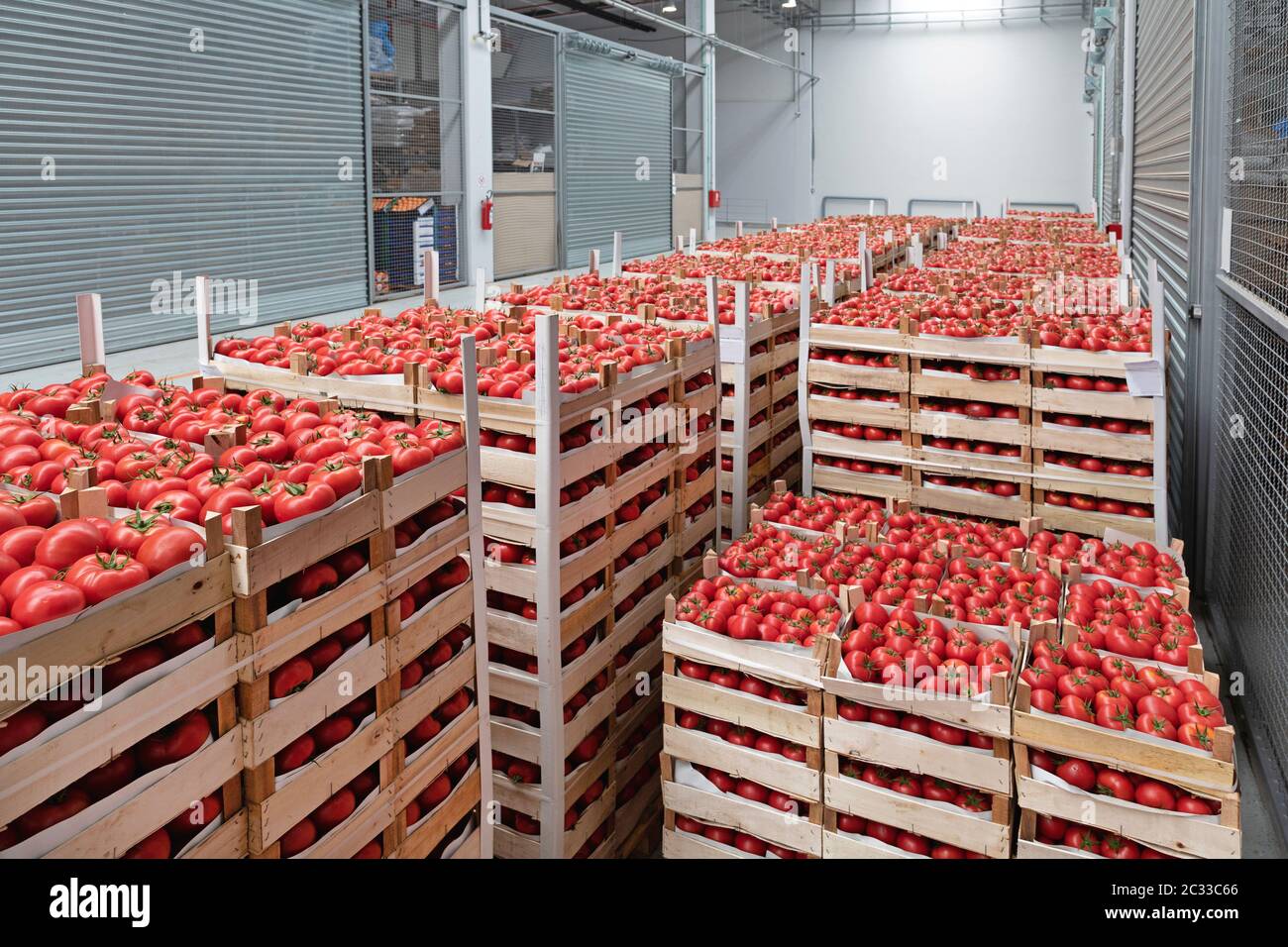 Crates of Red Tomatoes in Warehouse Storage Stock Photo - Alamy