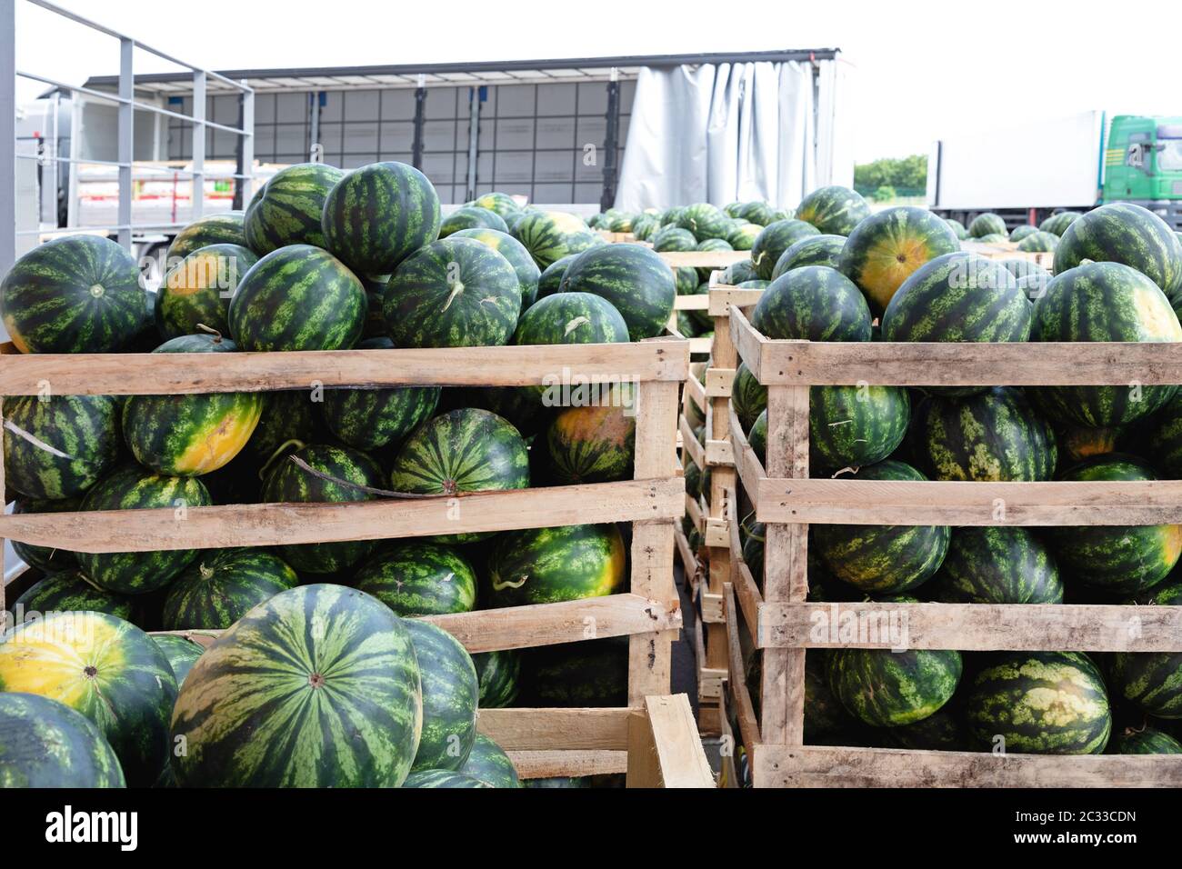 Big Watermelons in Crates at Wholesale Warehouse Stock Photo - Alamy