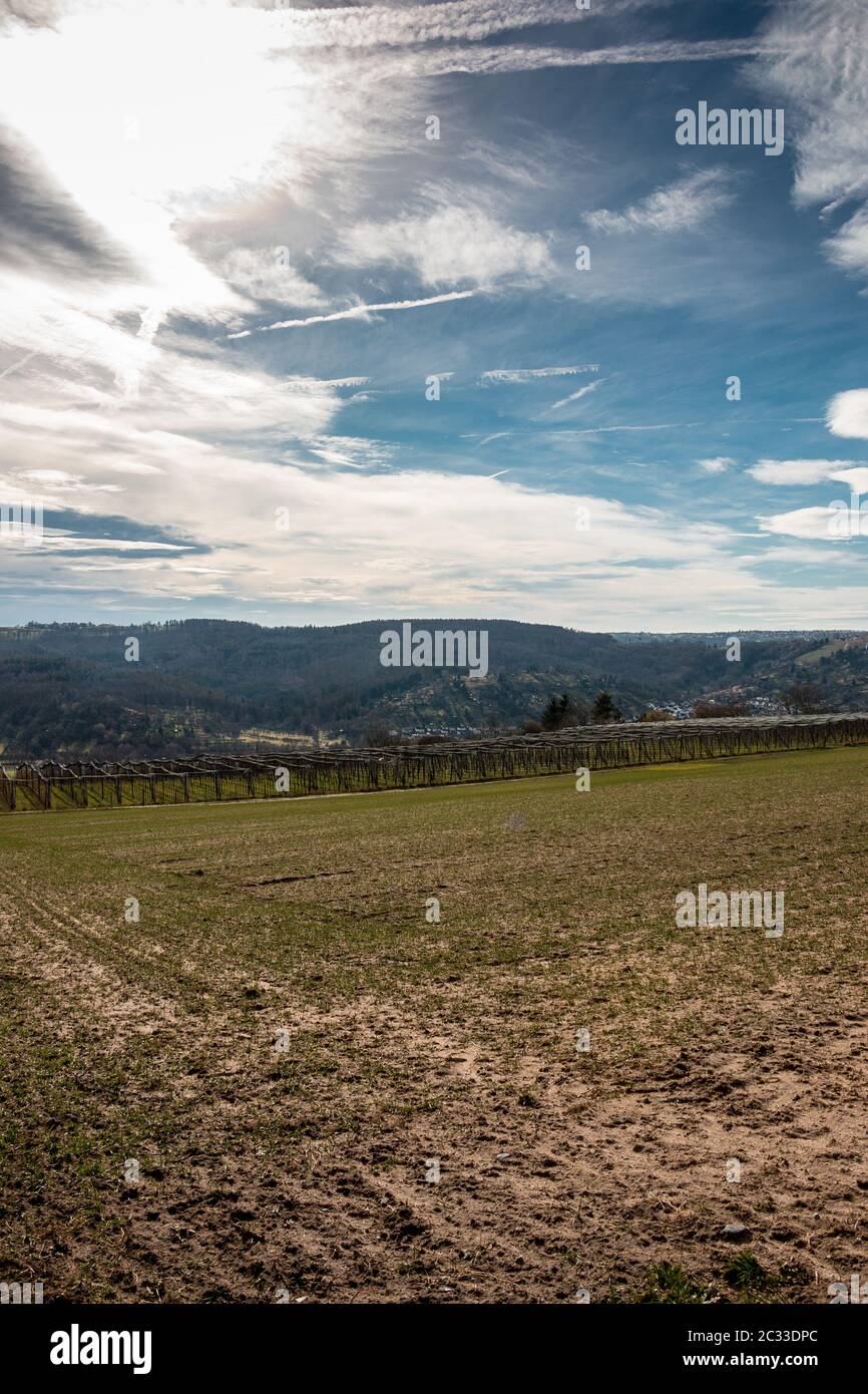 Big apple tree hi-res stock photography and images - Alamy