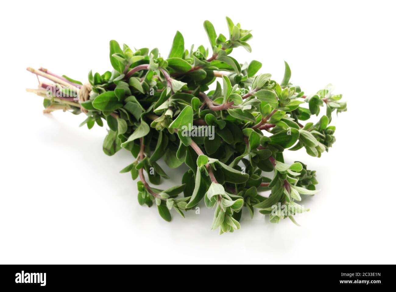 Fresh Marjoram Isolated On White Stock Photo - Alamy