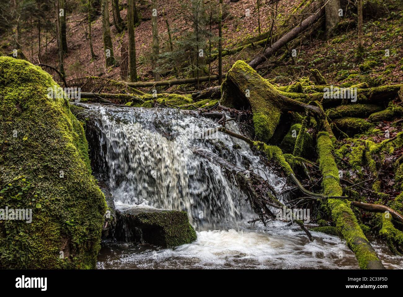 Little waterfall down the canyon in the middle of the green forest ...
