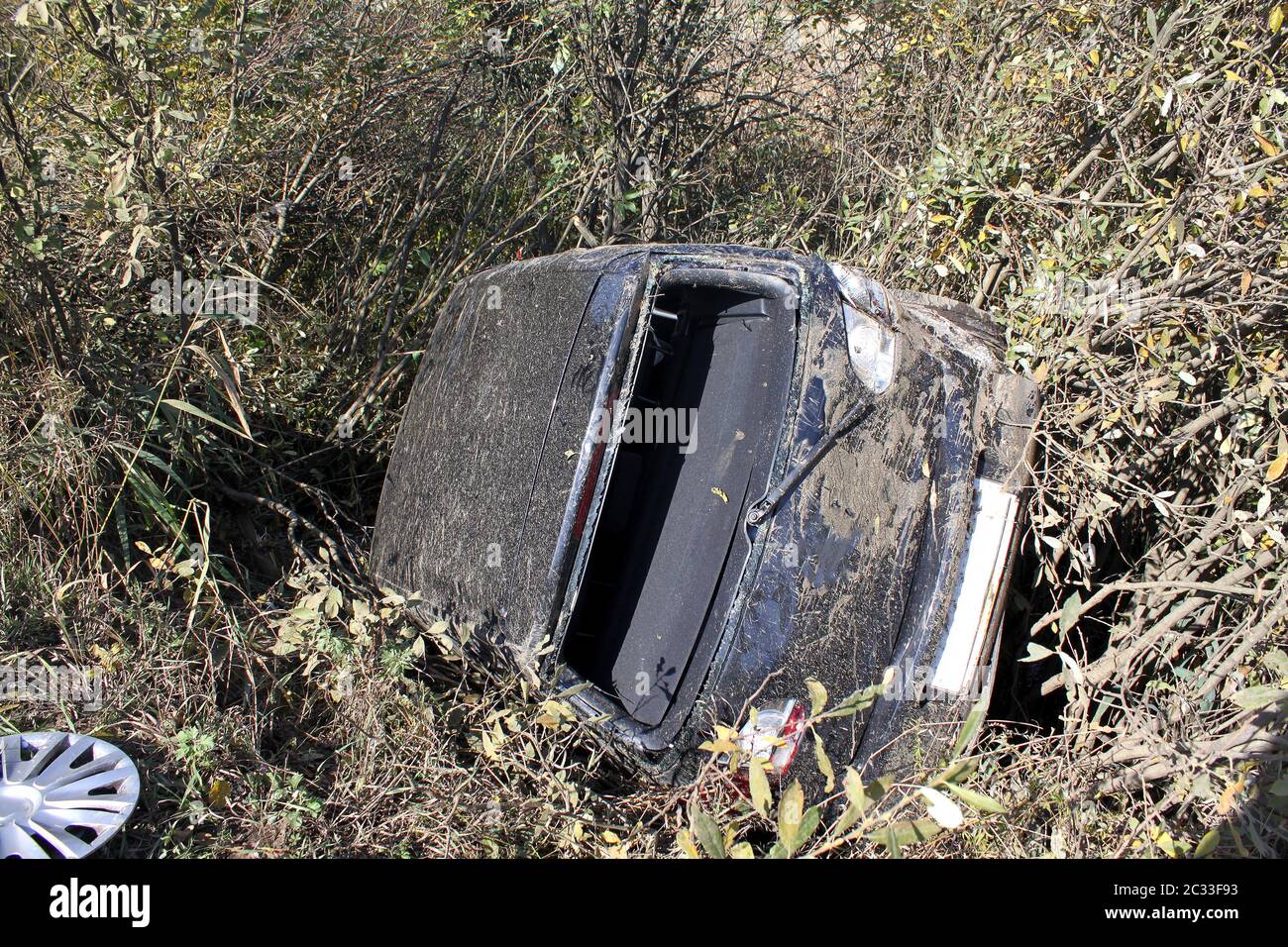 Total car crash on higway. The car in the bushes flew off the curb ...