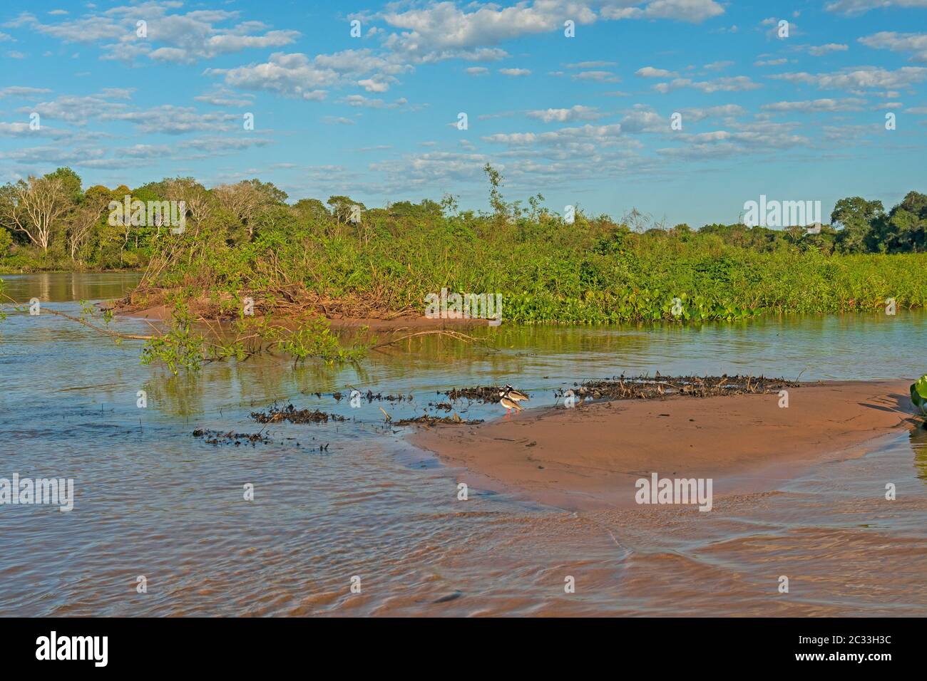 Pantanal Wetlands Panorama on the Cuiaba River in Pantanal National ...