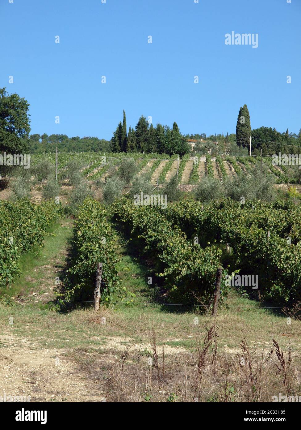 Brunello region hi-res stock photography and images - Alamy