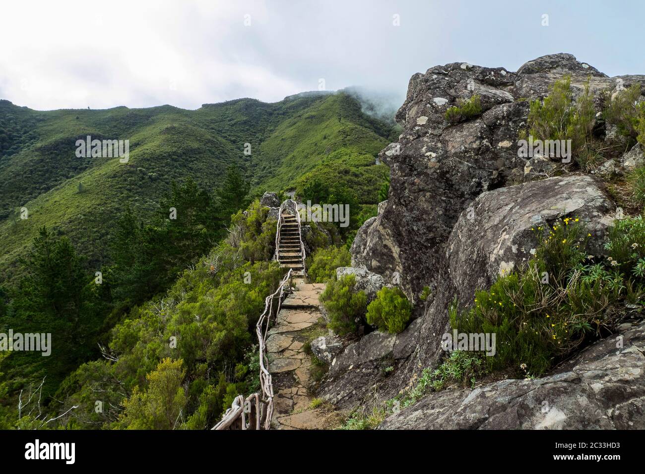 Portugal, Canary Islands on Madeira, Santana - Parque Florestal das ...