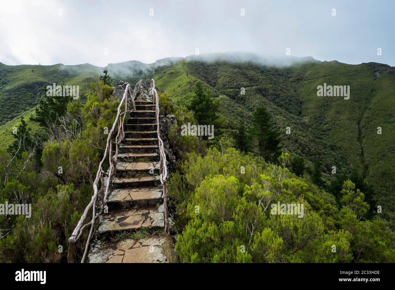 Portugal, Canary Islands on Madeira, Santana - Parque Florestal das ...