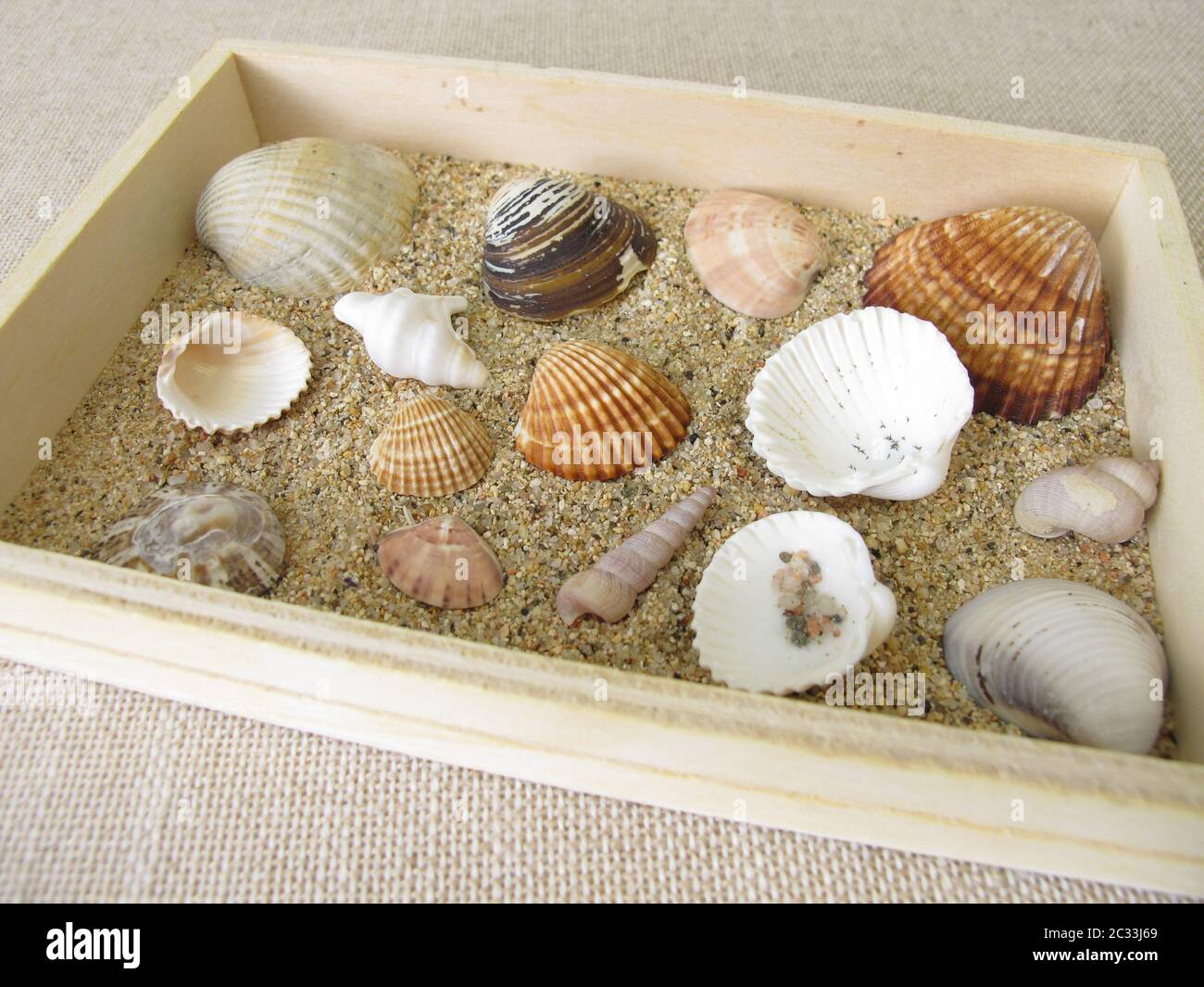 Sand in shells hi-res stock photography and images - Alamy