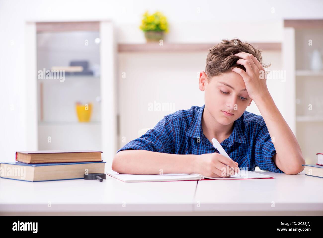 School child revising for exams hi-res stock photography and images - Alamy