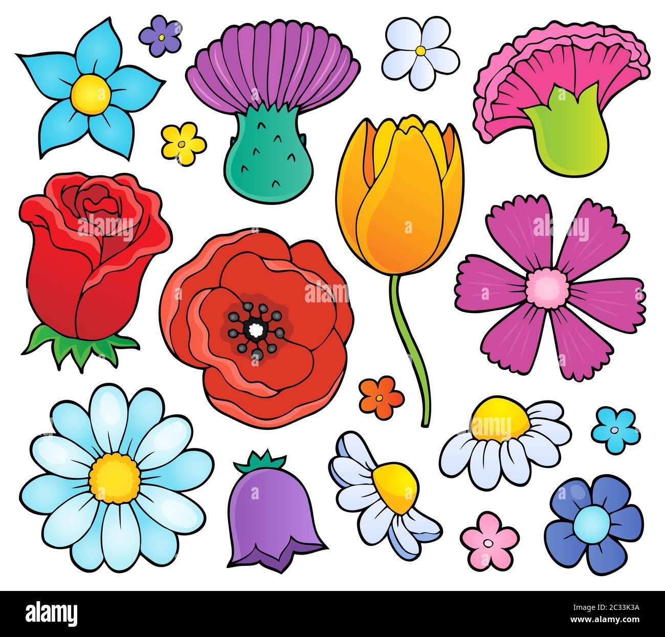 Various flower heads theme set 1 - picture illustration Stock Photo - Alamy