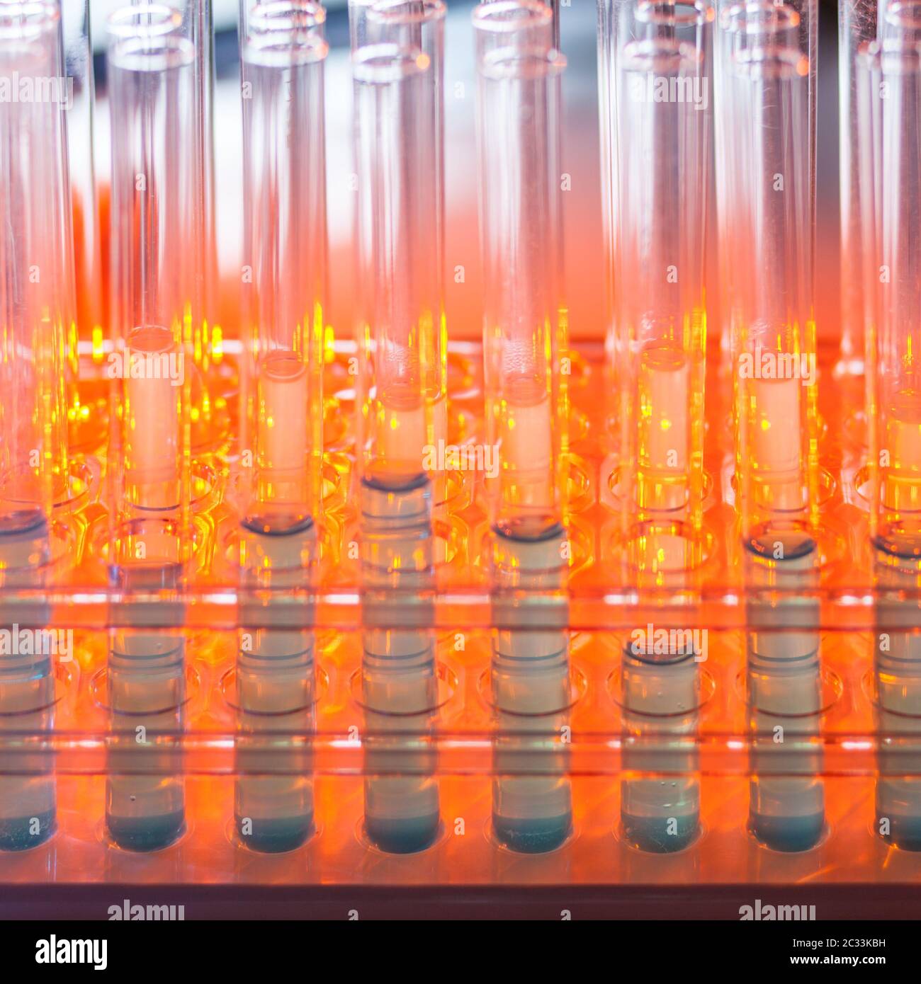 Glass test tubes containing blue liquid on warm orange background ...