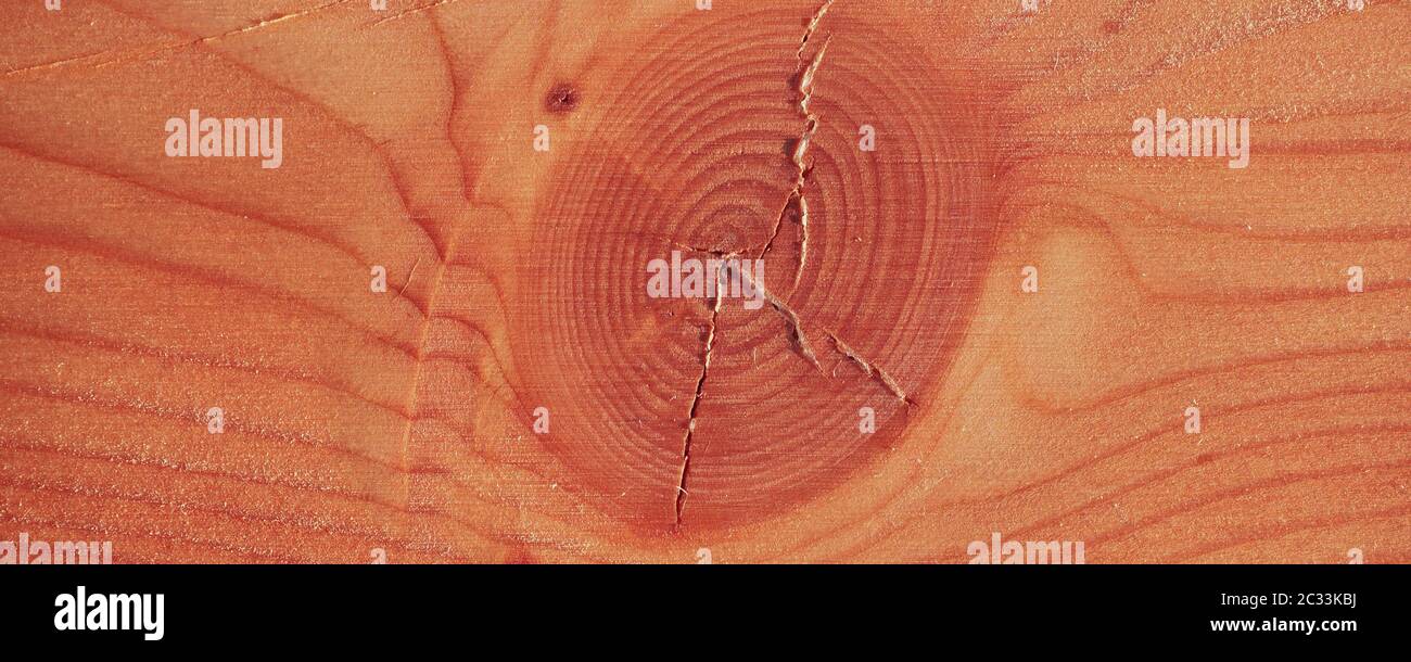 Larch wood plank board useful as a background Stock Photo - Alamy