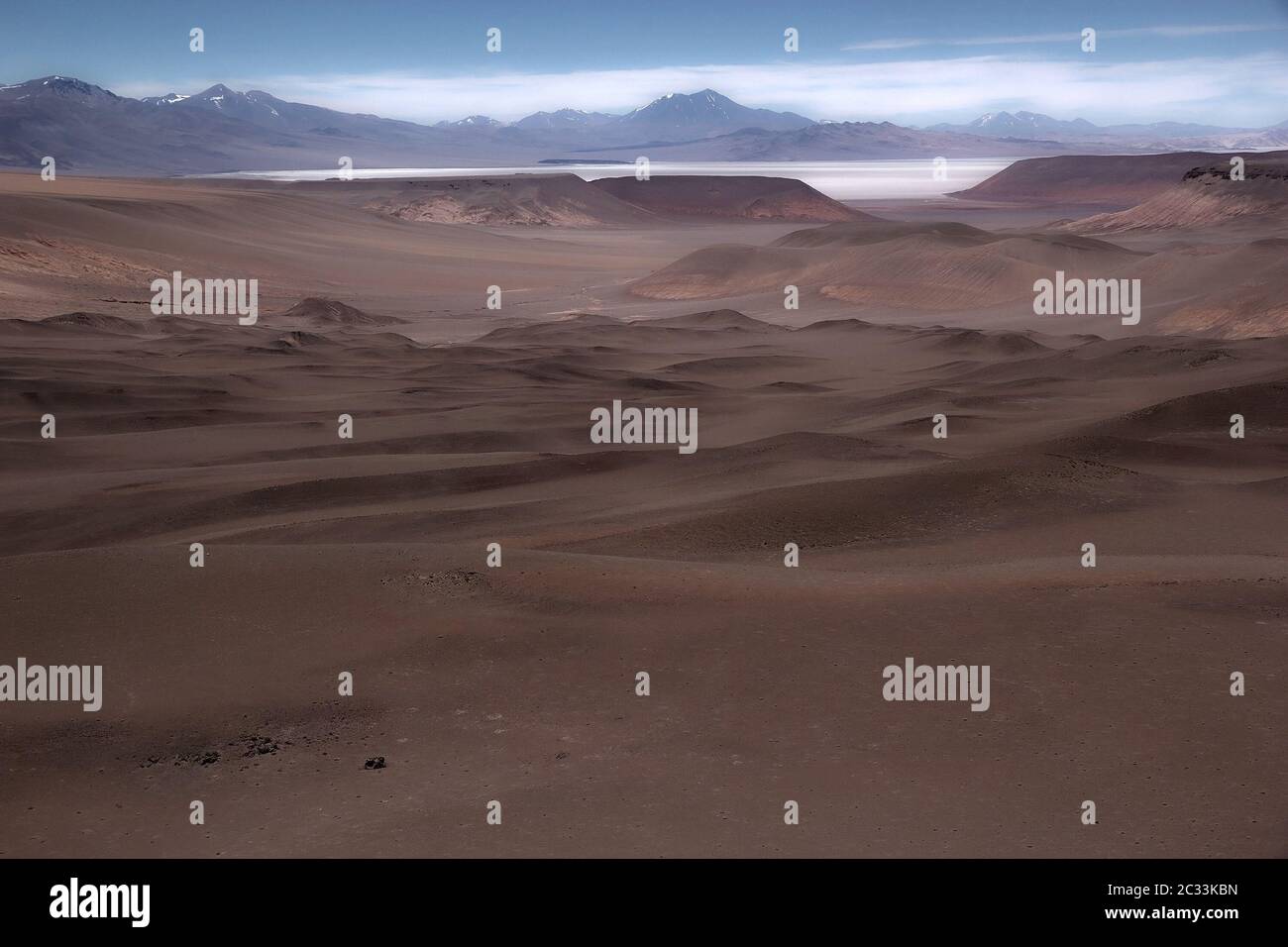 Landscape at the Puna de Atacama with salar and Llullaillaco volcano in ...