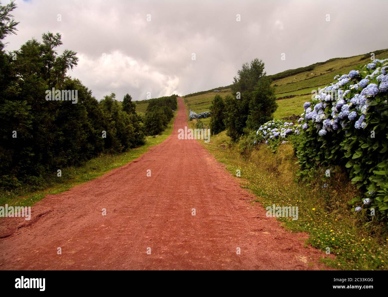 Red desert azores hi-res stock photography and images - Alamy