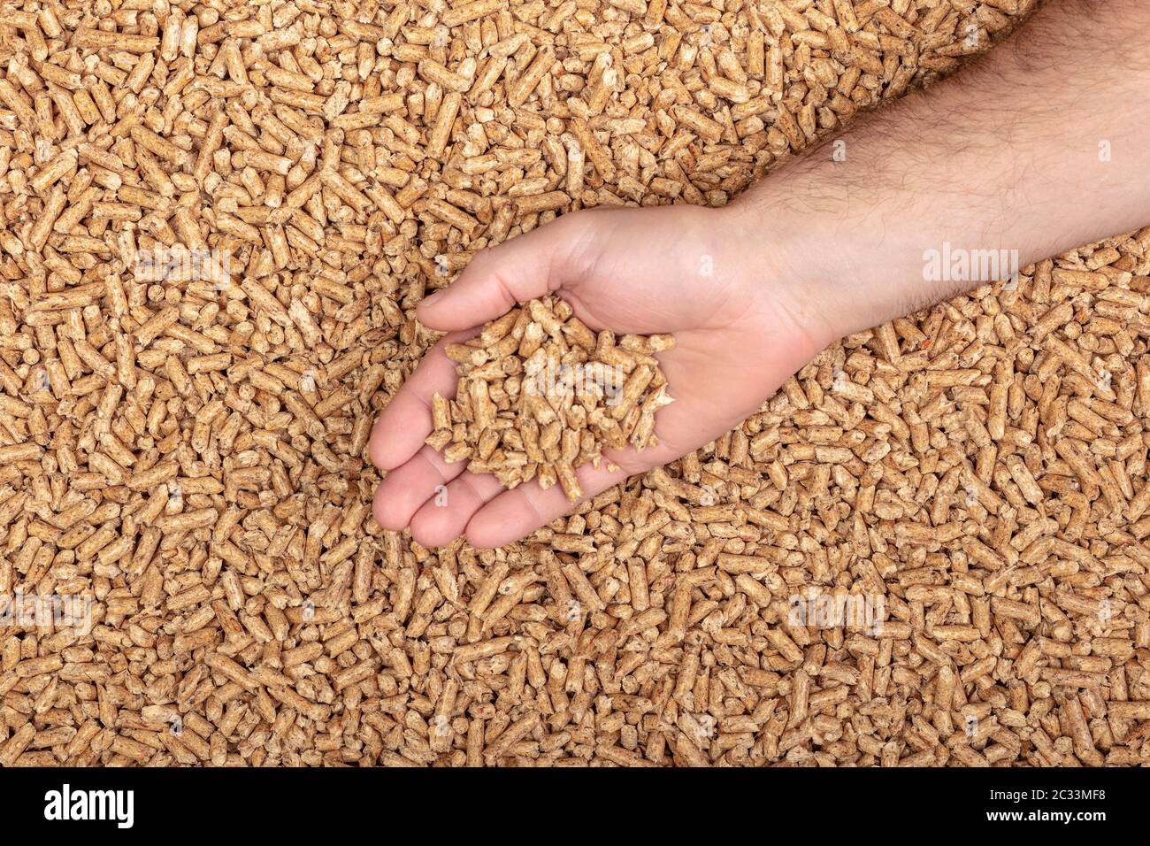 detail of a hand that contains wood pellets for stoves and boilers ...