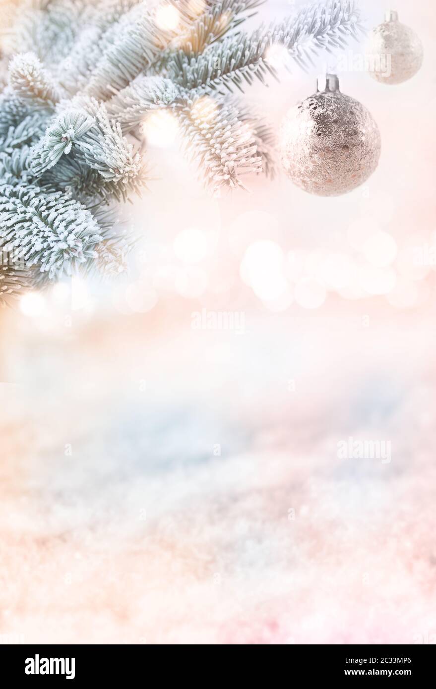 Christmas and advent background. Silver balls on fir branches in front ...