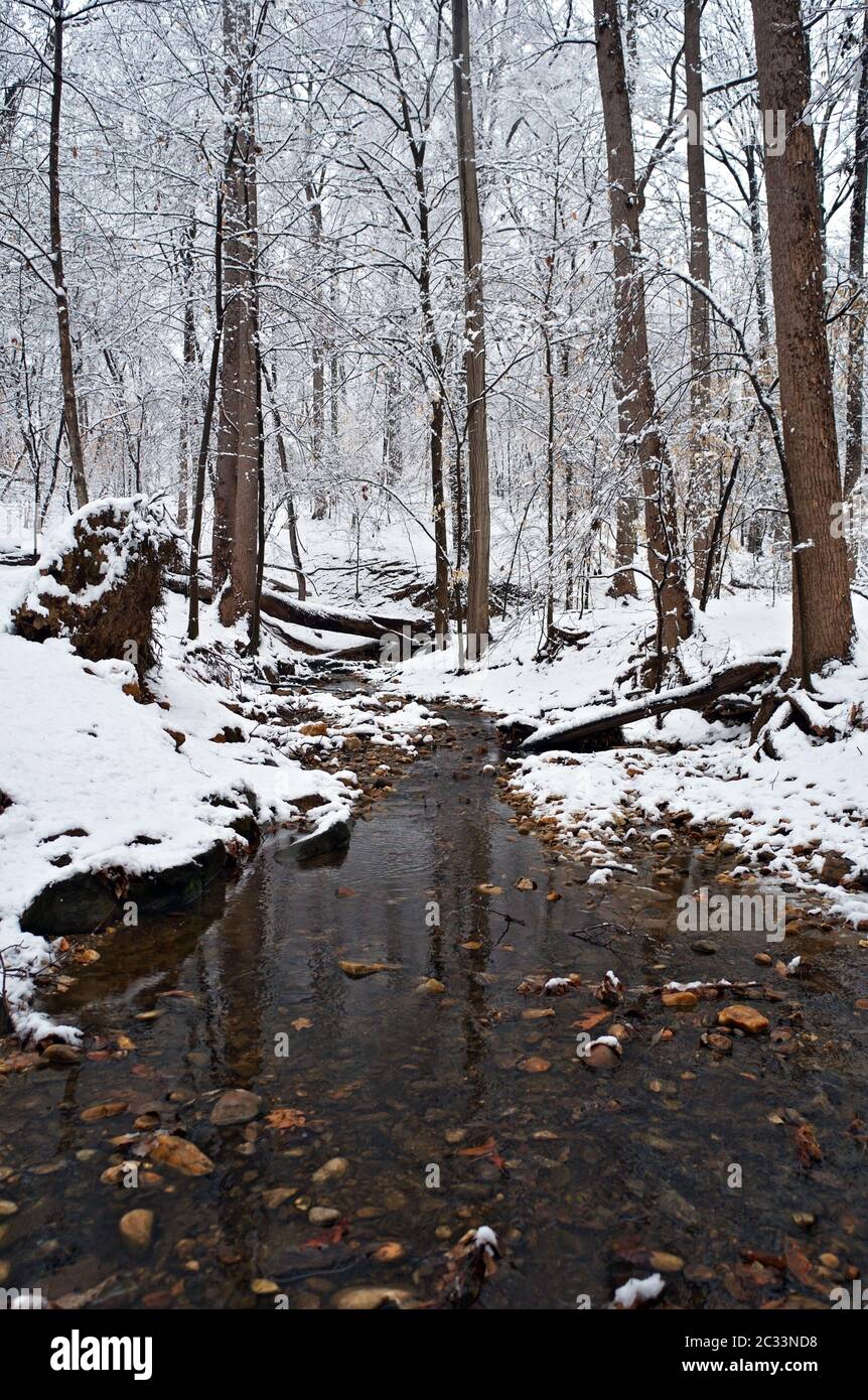 Rock creek park washington dc nature hi-res stock photography and ...